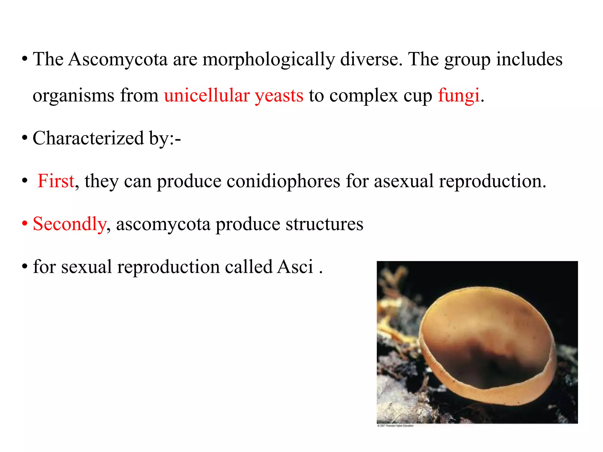 Classification of fungi | PPT