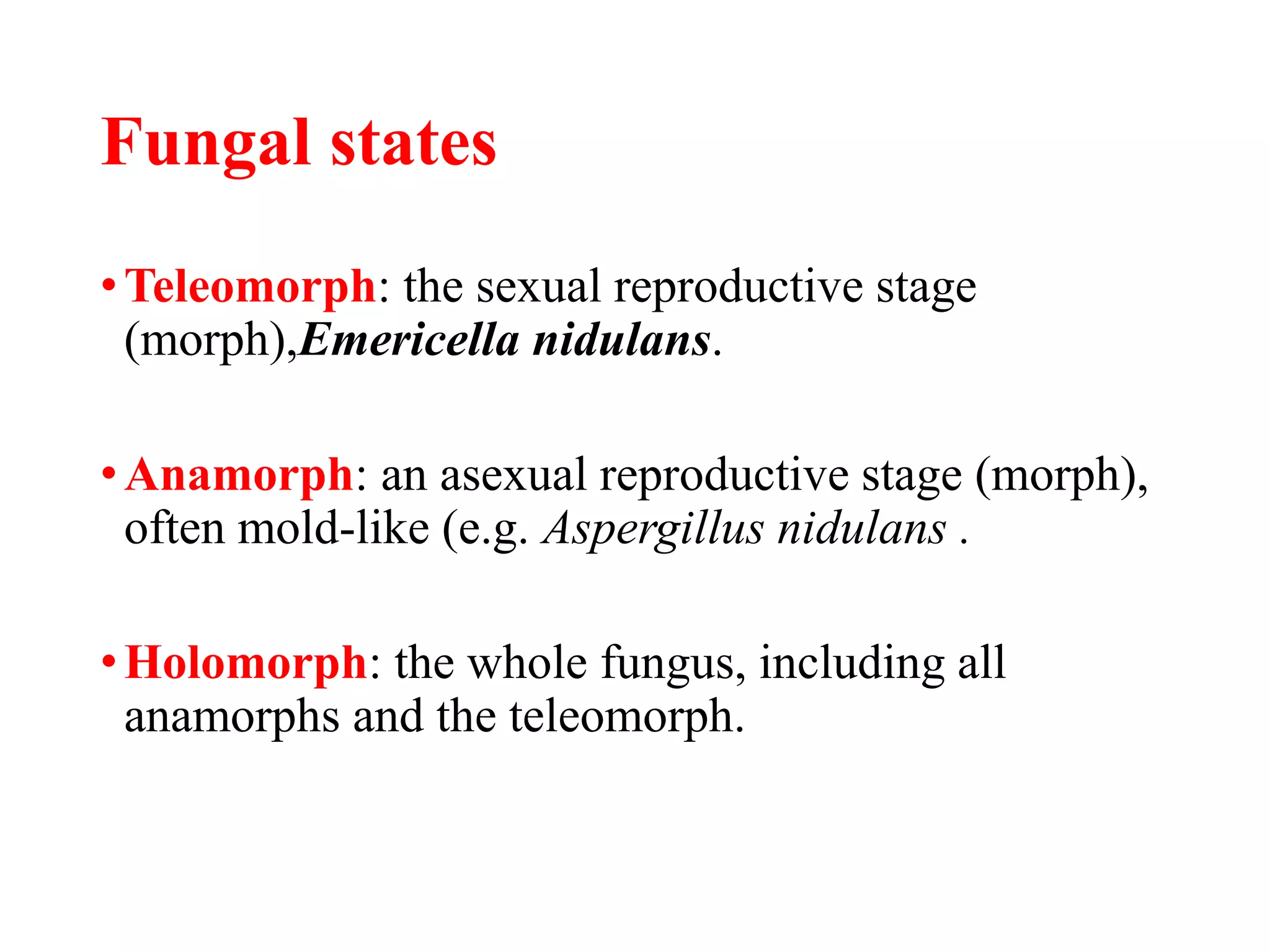 Classification of fungi | PPT