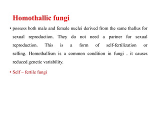 Classification of fungi | PPT