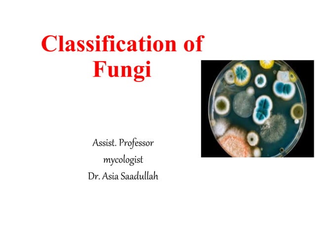 Classification of fungi