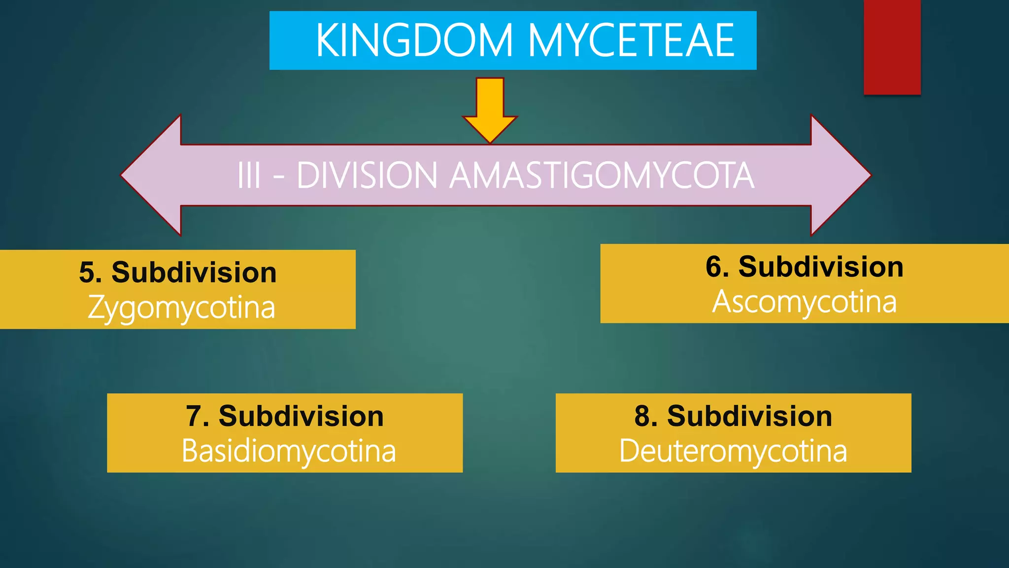 Classification of fungi | PPT
