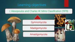 Classification of fungi | PPT