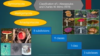 Classification of fungi | PPT