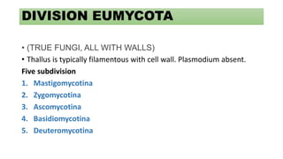 Classification of fungi | PPTX