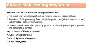 Classification of fungi | PPTX