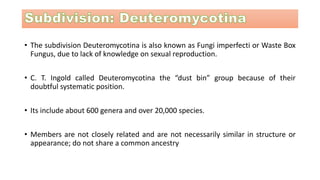 Classification of fungi | PPTX