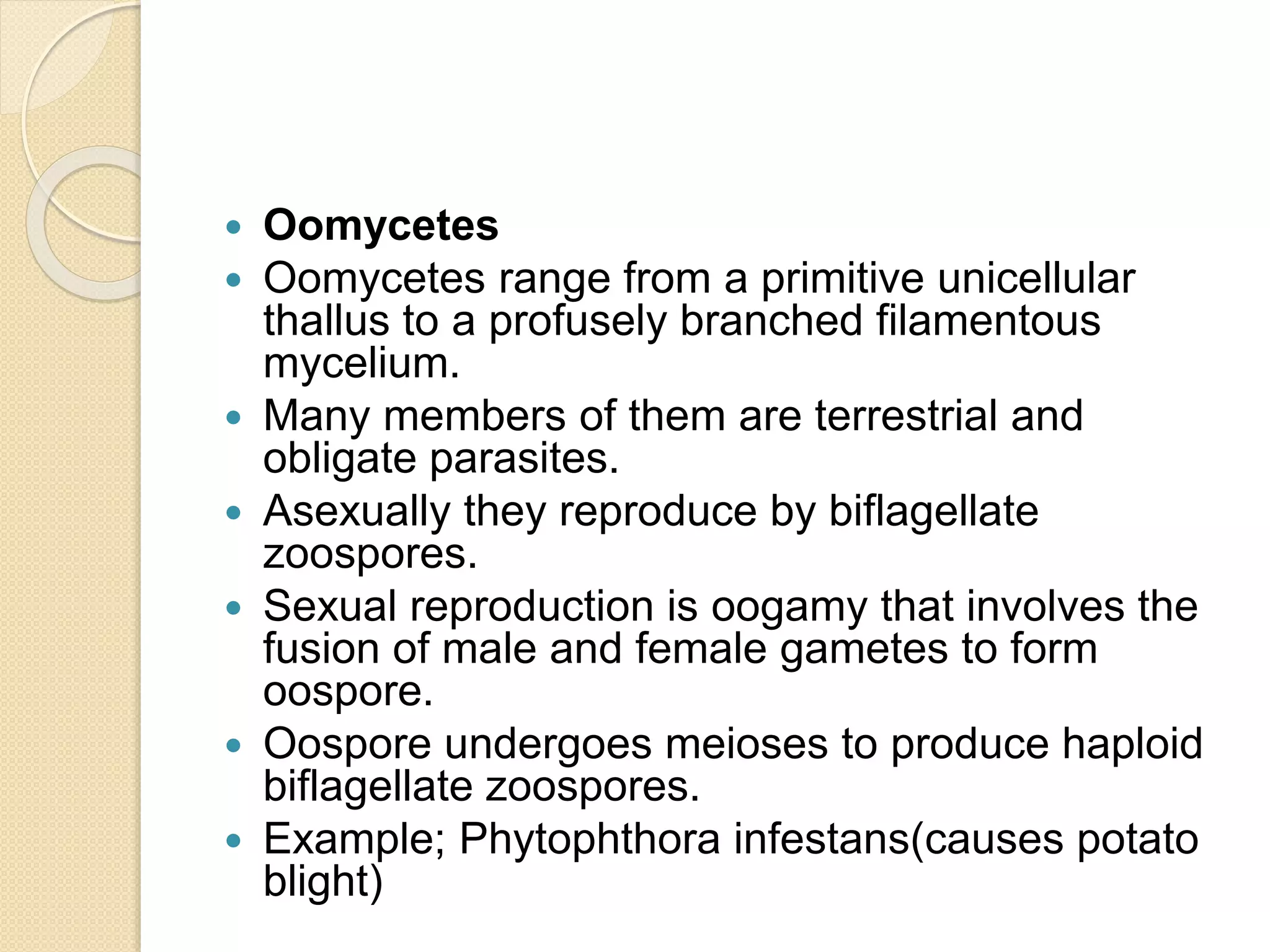 Classification of fungi | PPTX