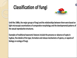 Classification of fungi | PPTX