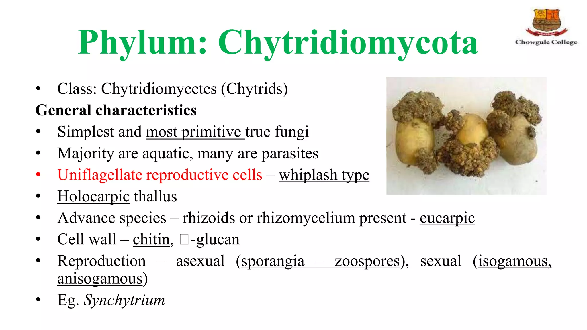 Classification of fungi | PPTX