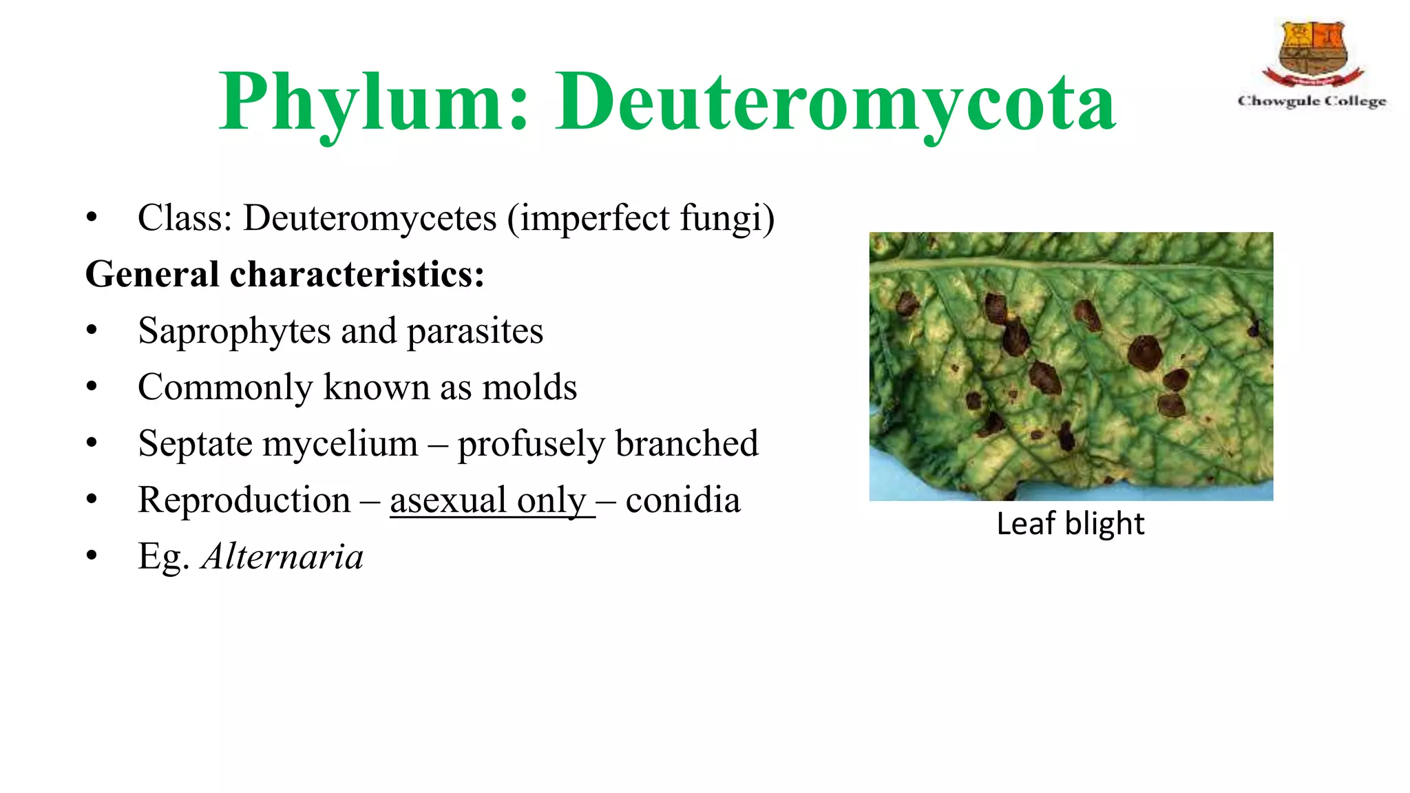 Classification of fungi | PPTX