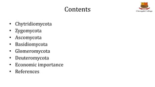 Classification of fungi | PPTX