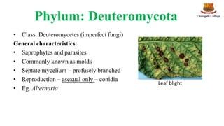 Classification of fungi | PPTX