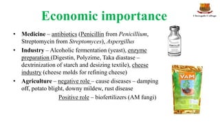 Classification of fungi | PPTX