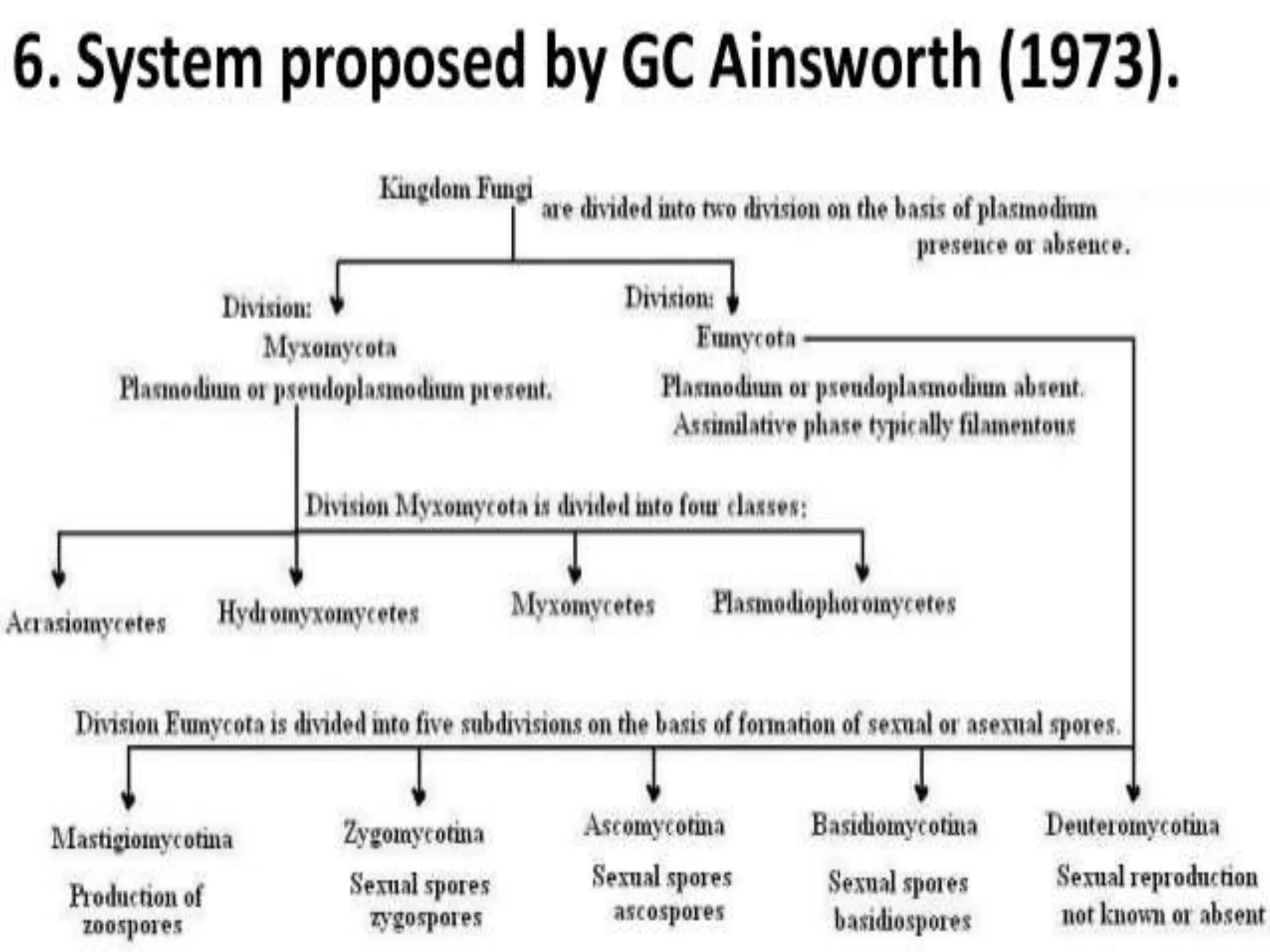 Classification of fungi | PPTX
