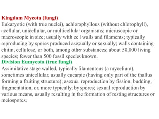 Classification of fungi | PPTX