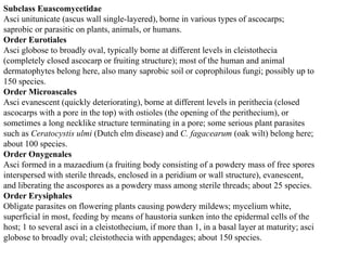 Classification of fungi | PPTX