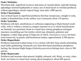 Classification of fungi | PPTX