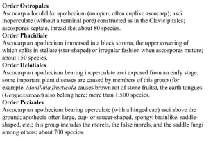 Classification of fungi | PPTX