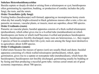 Classification of fungi | PPTX