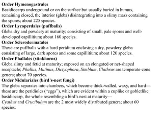 Classification of fungi | PPTX