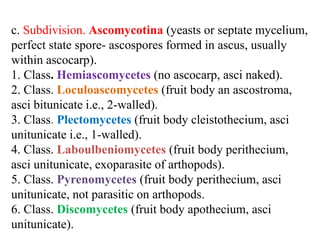 Classification of fungi | PPTX