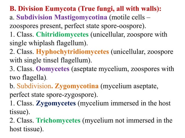 Classification of fungi