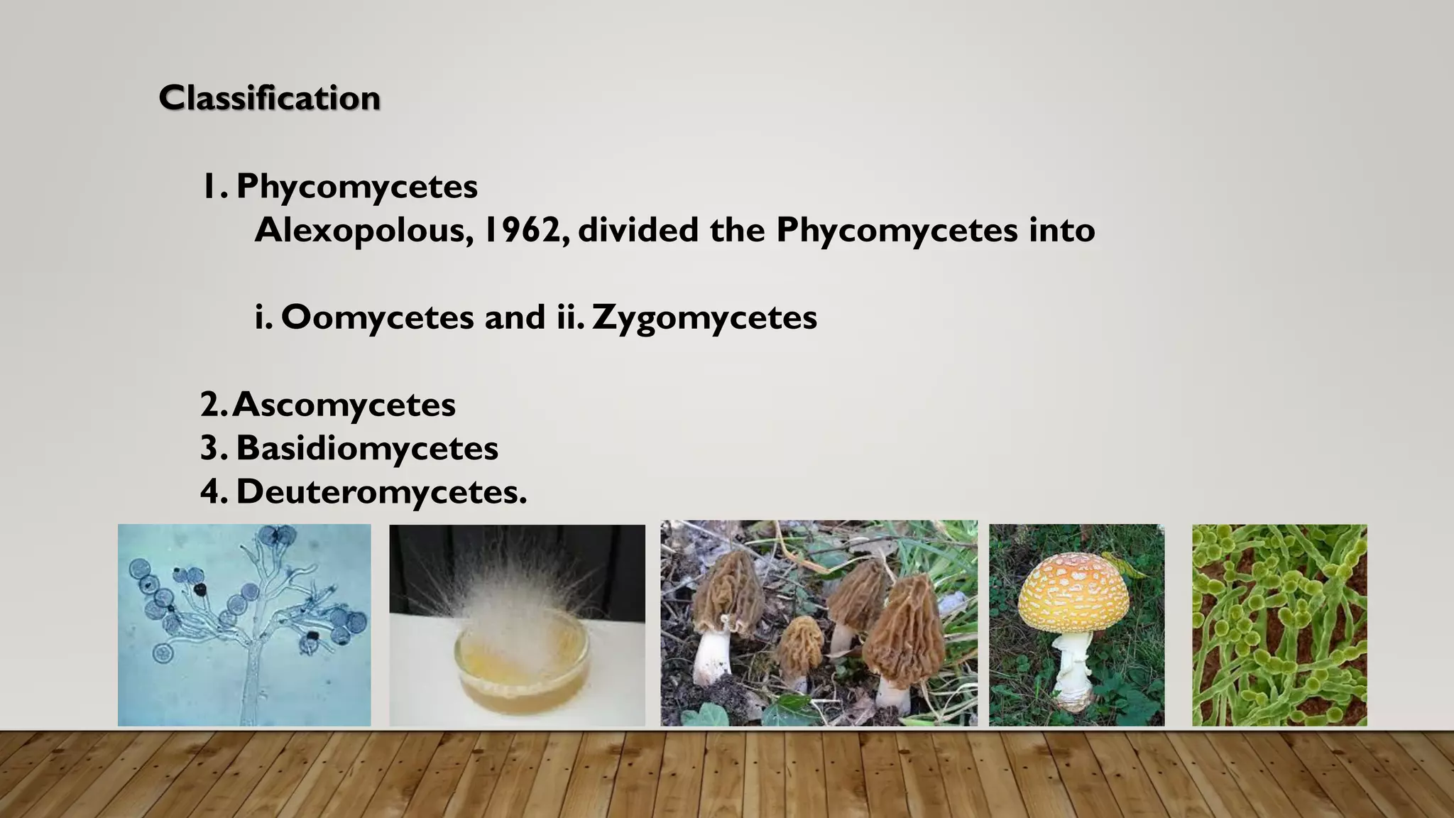 Classification of fungi | PDF
