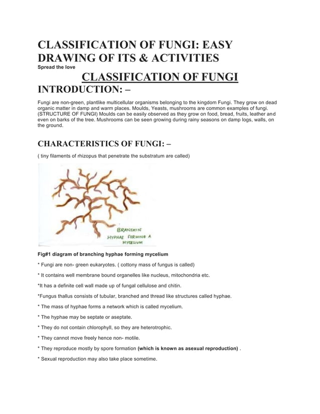 CLASSIFICATION OF FUNGI.docx