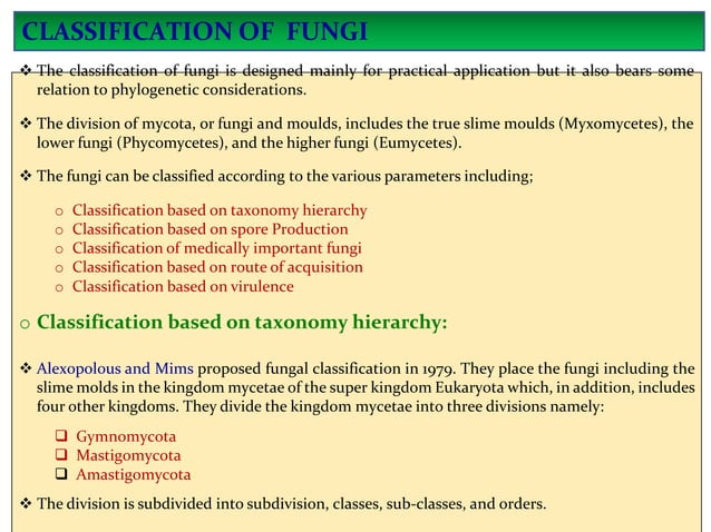 classification of fungi.docx