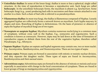 classification of fungi.docx