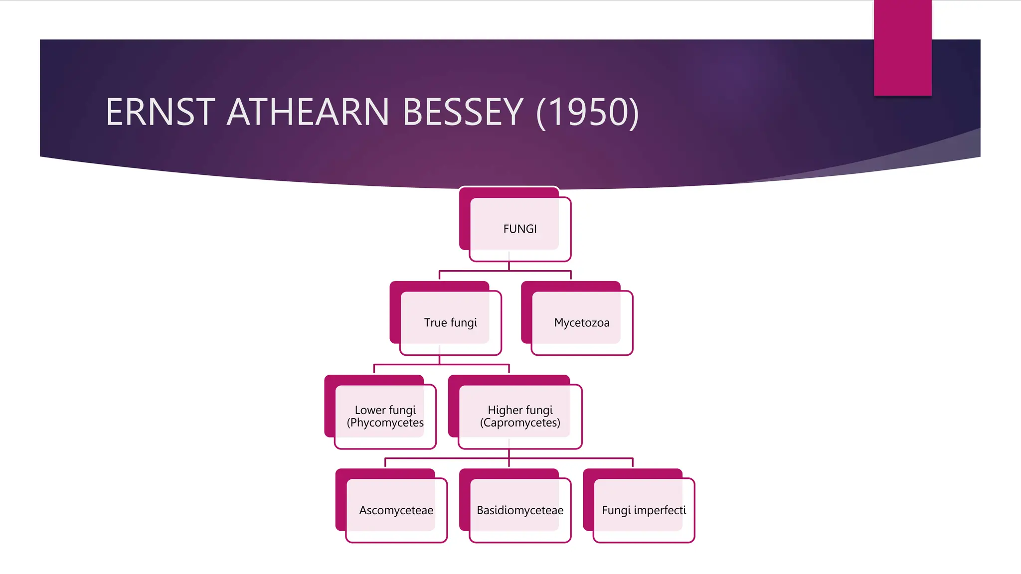 CLASSIFICATION OF FUNGI in Plant Mycology.pptx