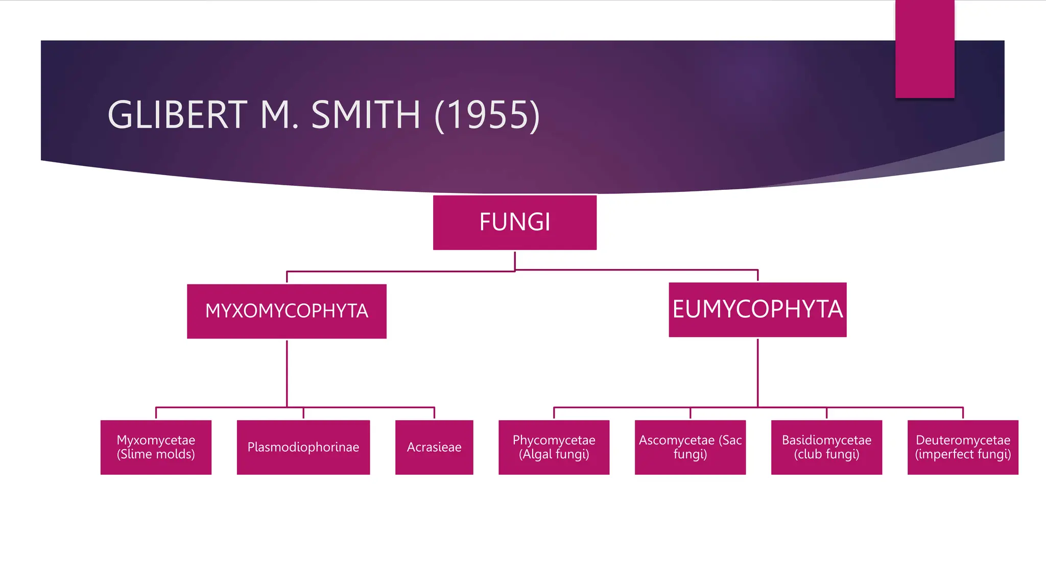 CLASSIFICATION OF FUNGI in Plant Mycology.pptx
