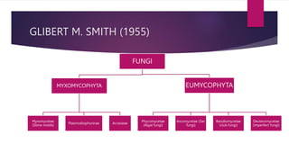 CLASSIFICATION OF FUNGI in Plant Mycology.pptx