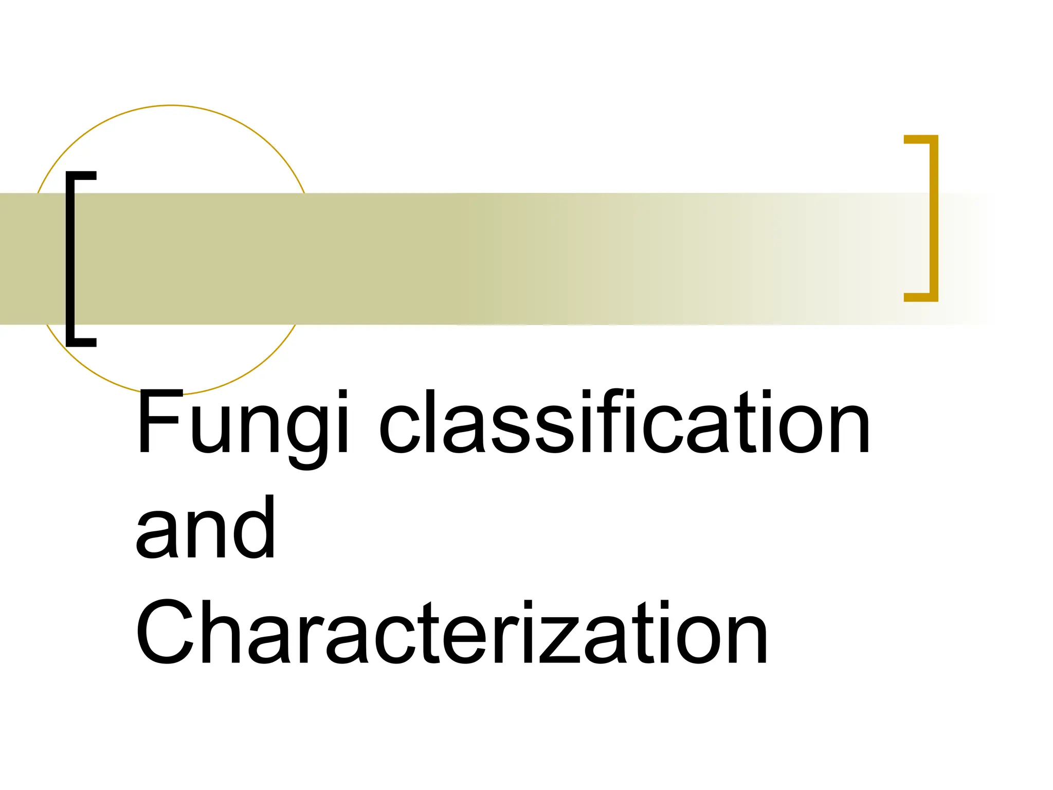 Classification of Fungi PowerPoint that is important to understand by ...