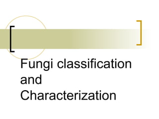 Classification of Fungi PowerPoint that is important to understand by ...