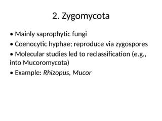 Classification of Fungi and it's classes.pptx