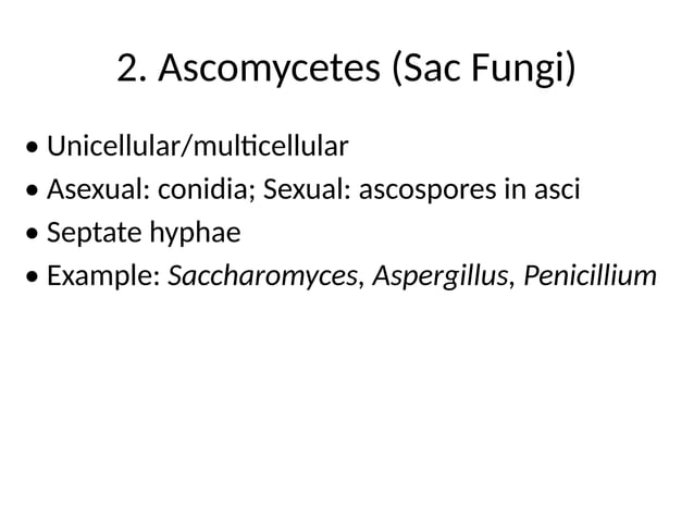 Classification of Fungi and it's classes.pptx