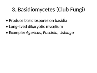 Classification of Fungi and it's classes.pptx