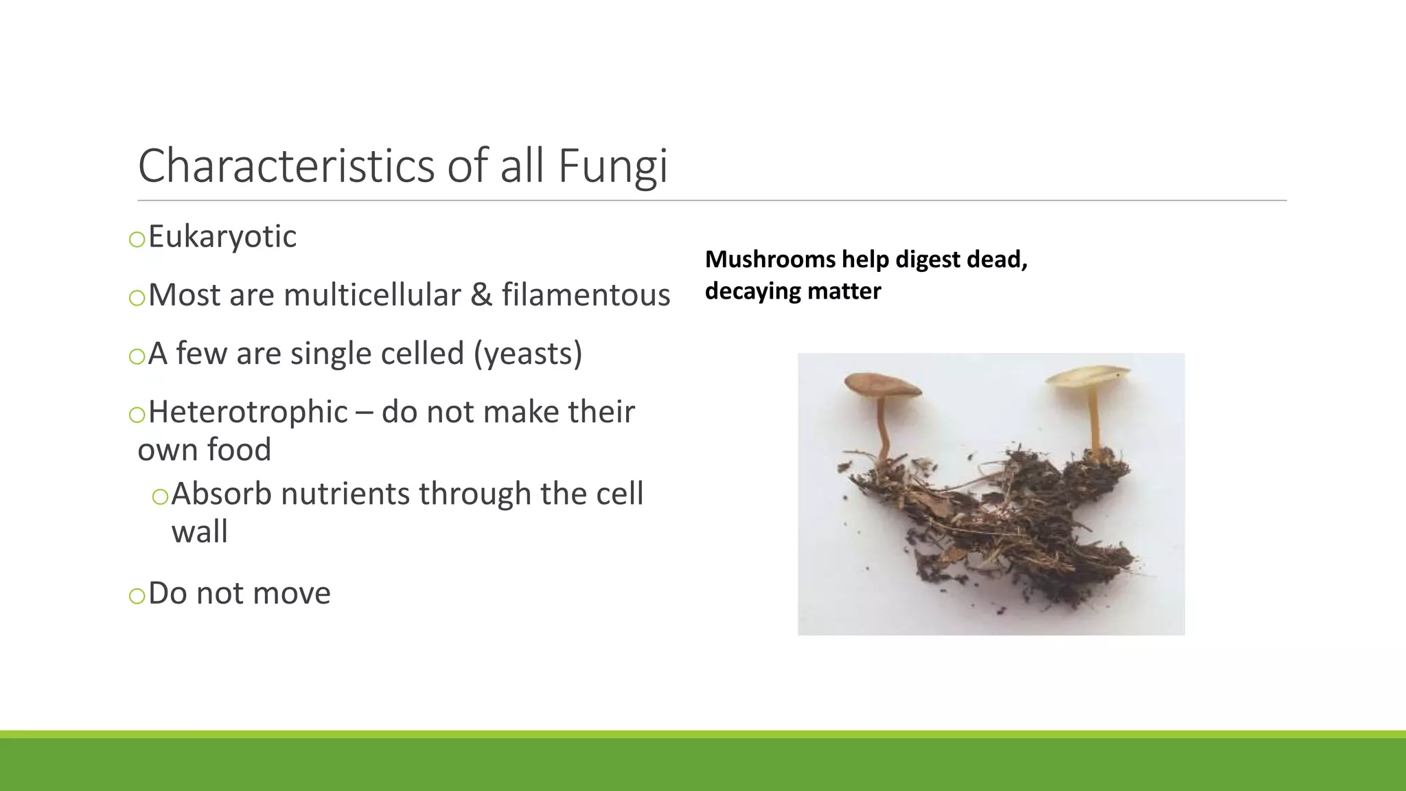 Classification of fungi by alexopolus | PPTX