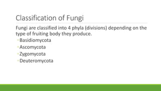 Classification of fungi by alexopolus | PPTX