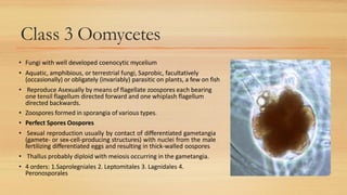 Classification of Fungi Dr.Neeraj Kumar Tiwari.pdf