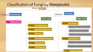Classification of Fungi Dr.Neeraj Kumar Tiwari.pdf