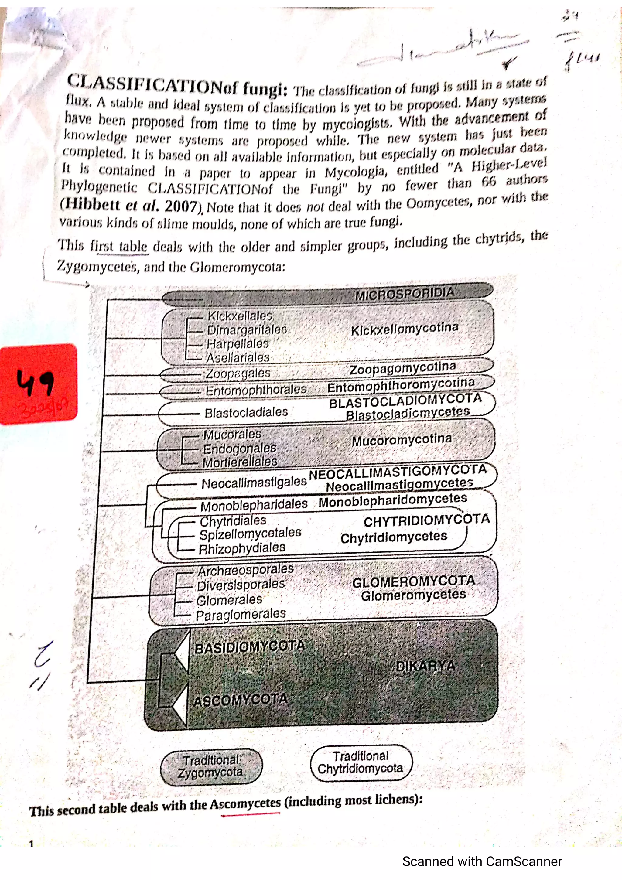 Classification of fungi notes | PDF