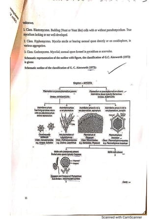 Classification of fungi notes | PDF