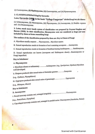 Classification of fungi notes | PDF
