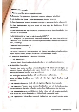 Classification of fungi notes | PDF