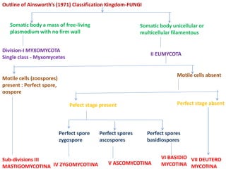 Classification of fungi proposed by Ainsworth (1971) | PPTX