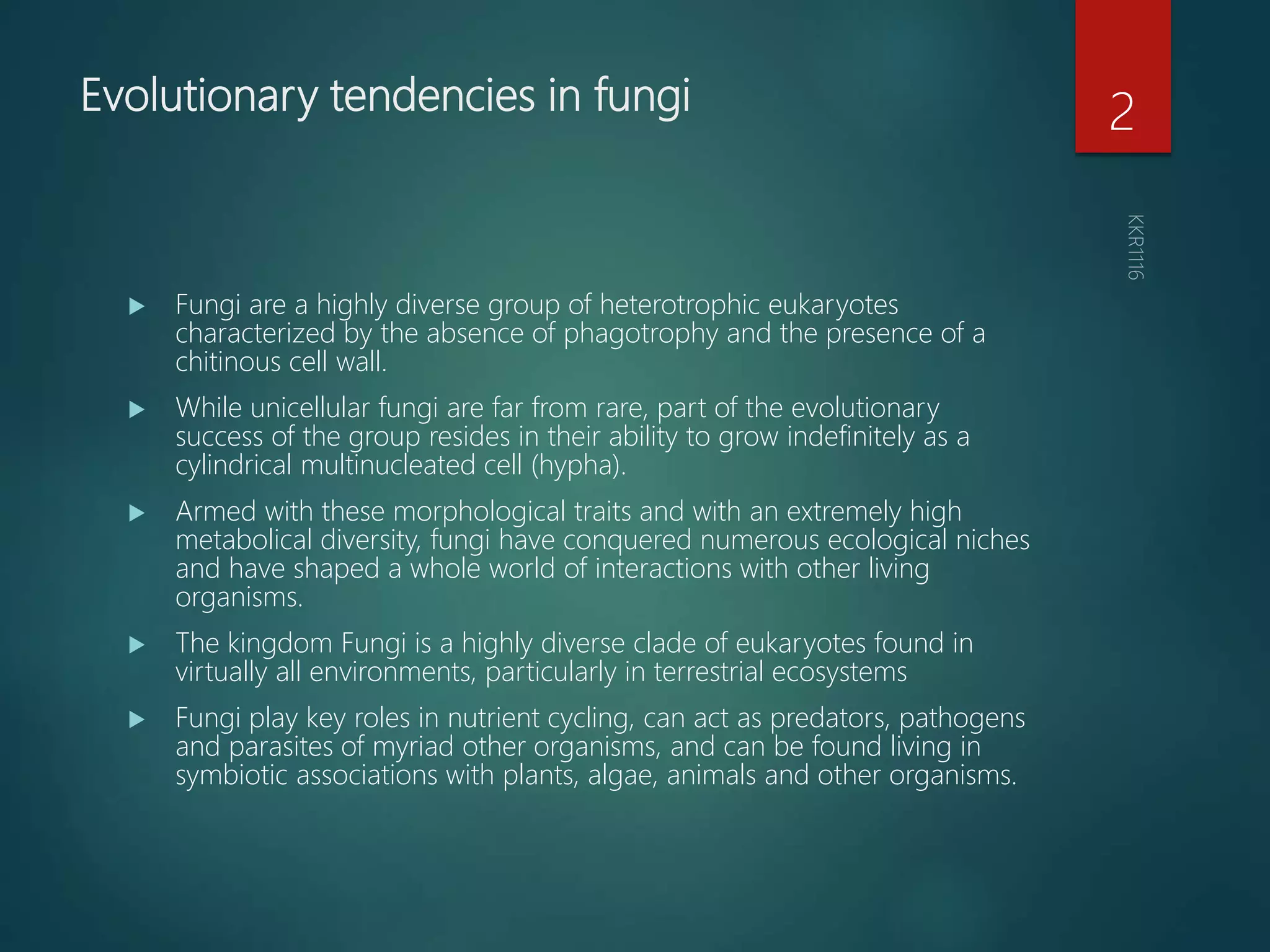 Classification of fungi | PPTX