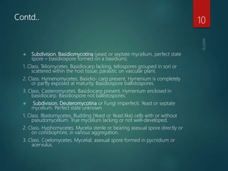 Classification of fungi | PPTX