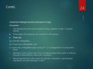 Classification of fungi | PPTX